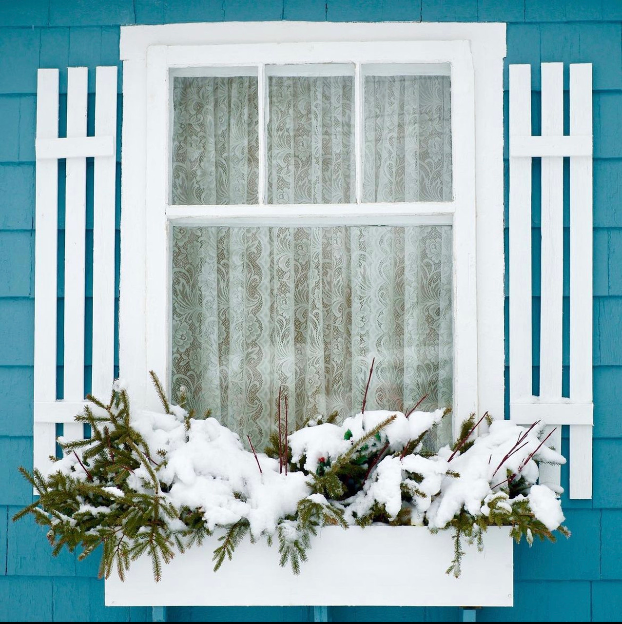 How to Turn Window Boxes into Winter Wonderlands - Windowbox.com